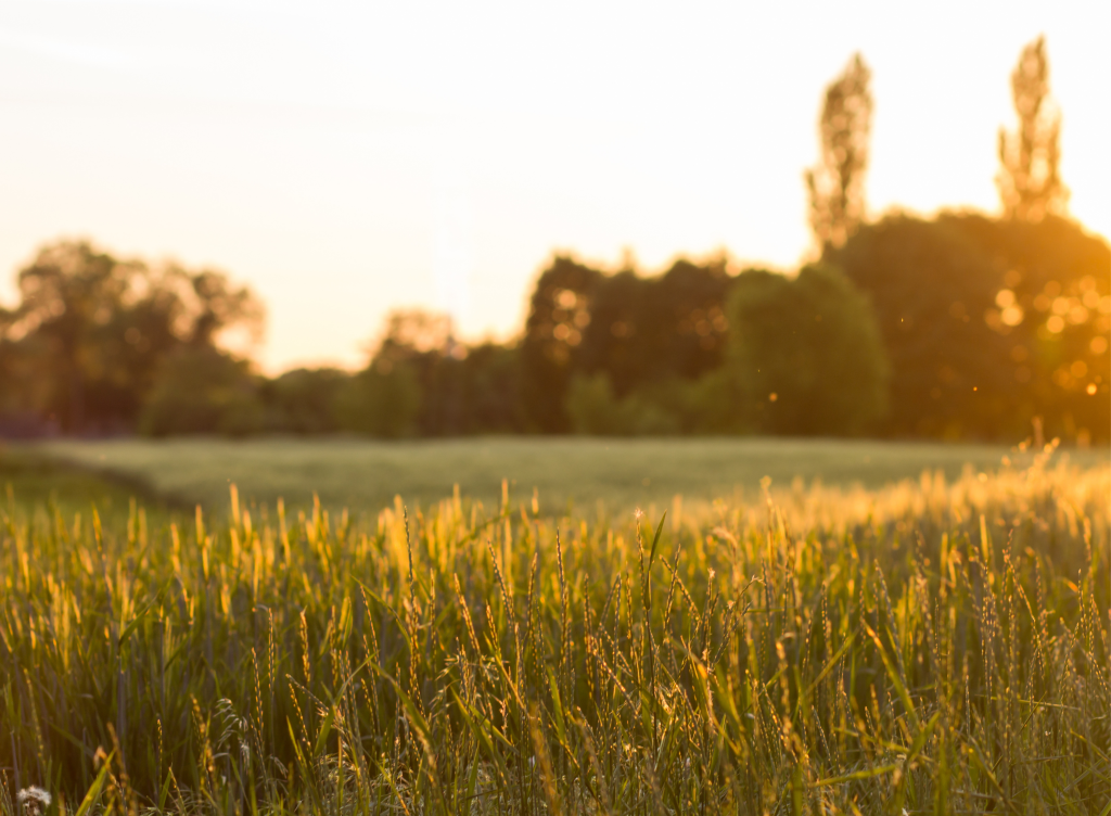 From farmland to future value: What landowners need to know before ...